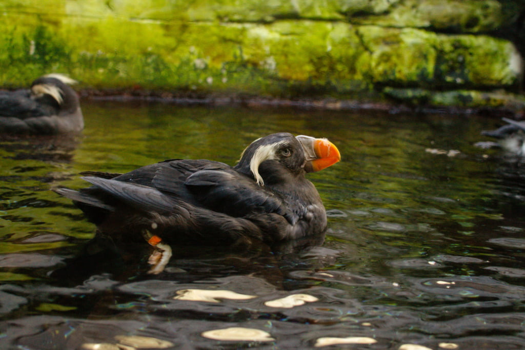 Your Ultimate 4-Day Guide to Seattle