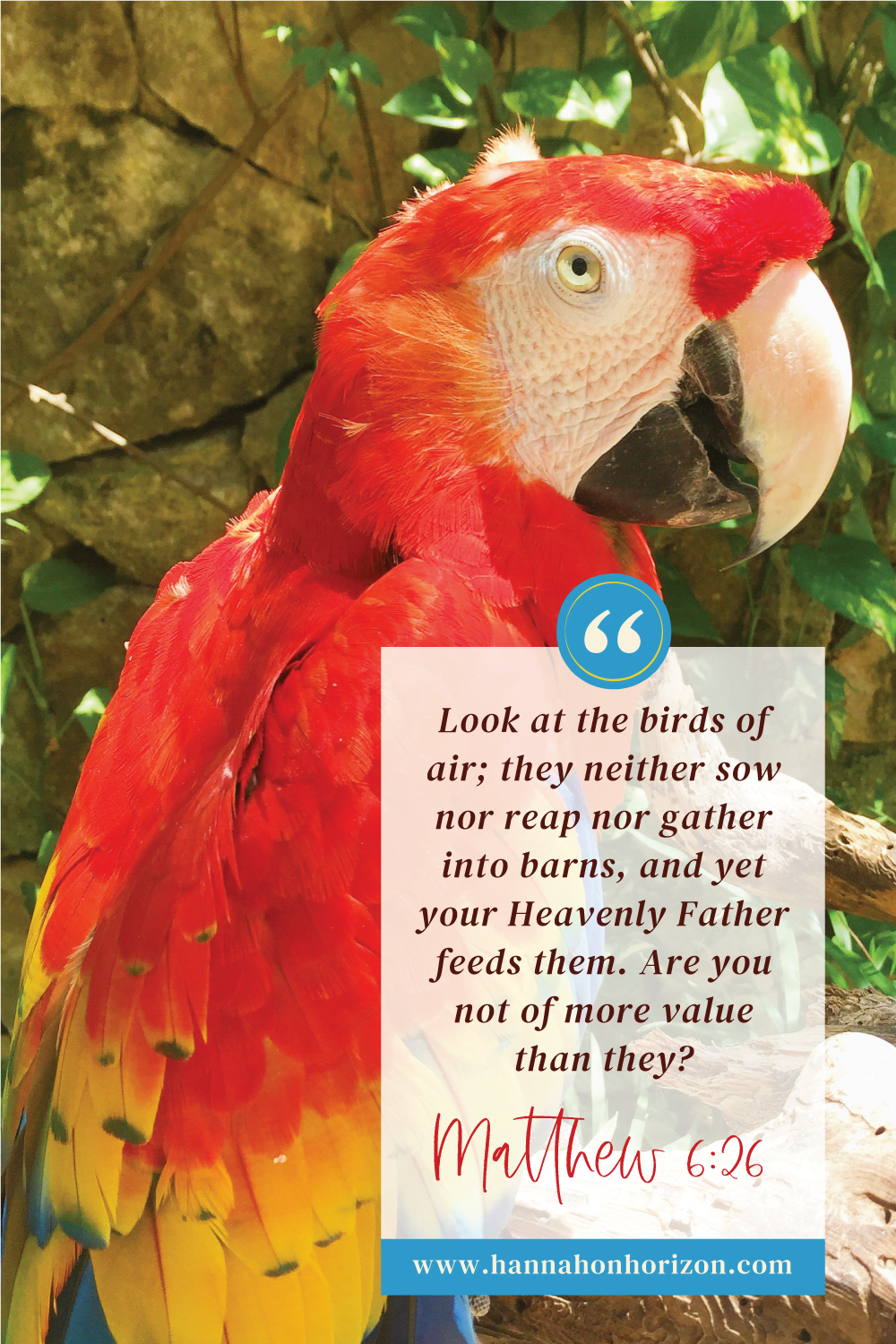 24 Bible verses about taking care of the Earth (& practical, everyday ...