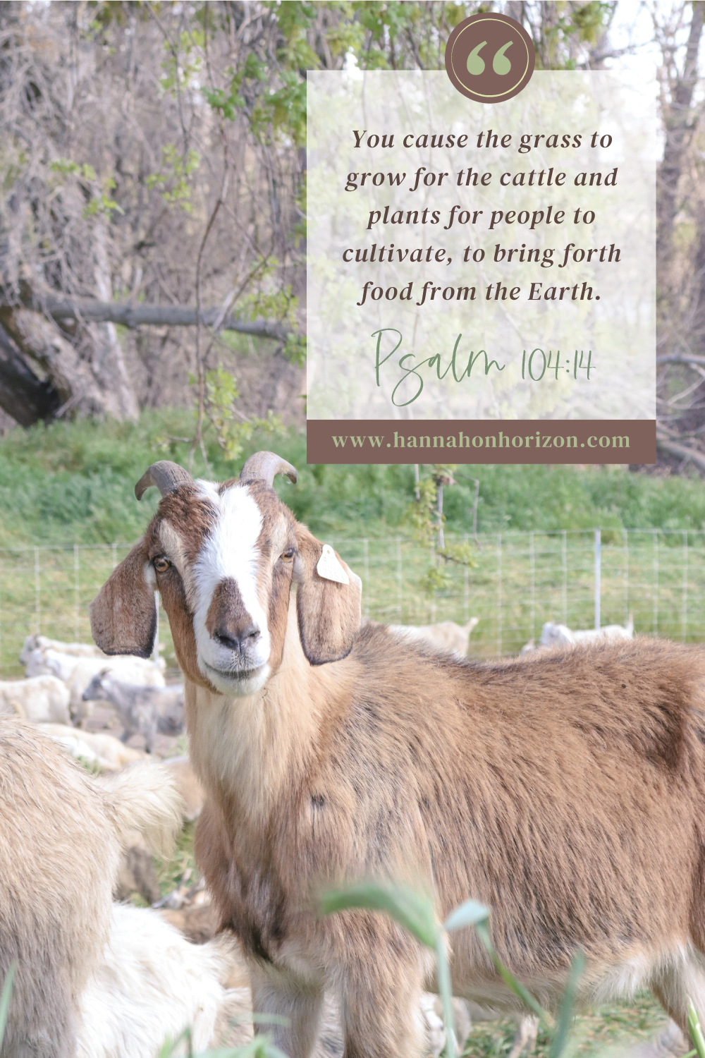 24 Bible verses about taking care of the Earth (& practical, everyday ...