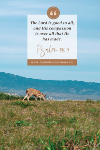 24 Bible verses about taking care of the Earth (& practical, everyday ...