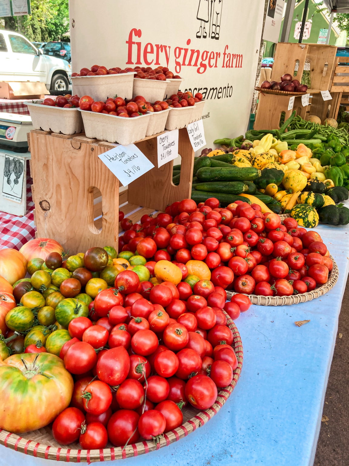 What to do and eat in Davis, CA | The college town everyone can enjoy