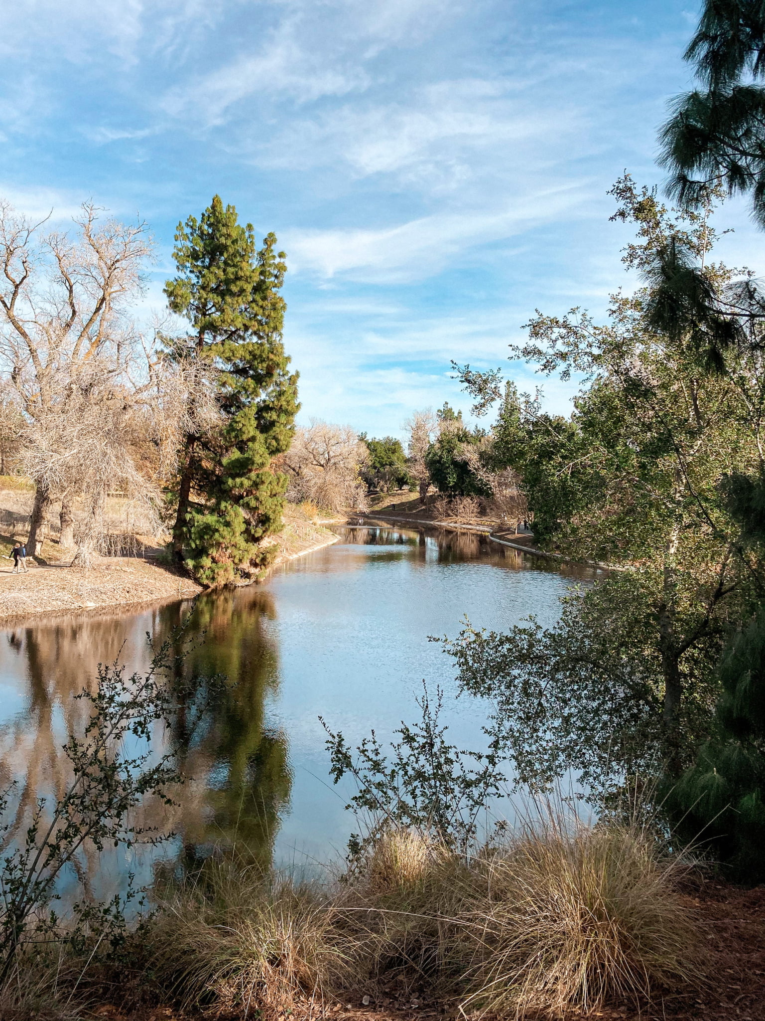 What to do and eat in Davis, CA | The college town everyone can enjoy