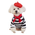 French-themed Gift Guide for the Total Francophile