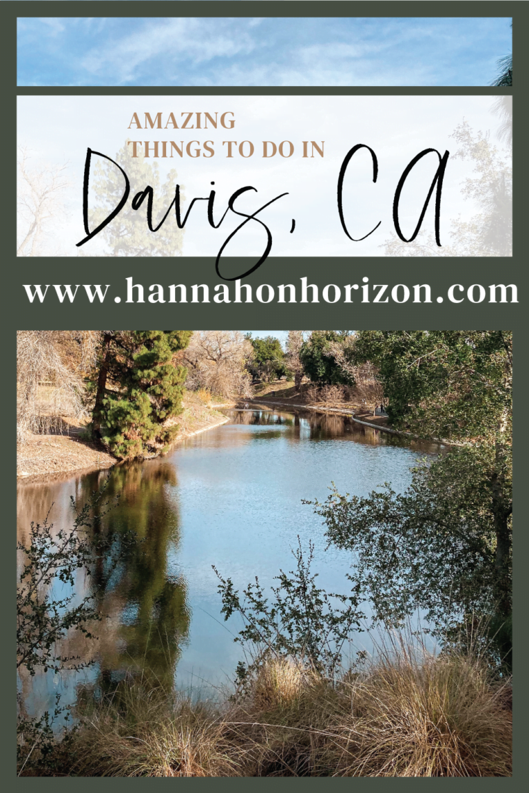 What to do and eat in Davis, CA | The college town everyone can enjoy