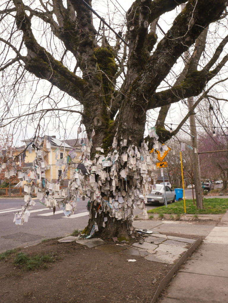 Things to do in Portland | Your 4-day Itinerary