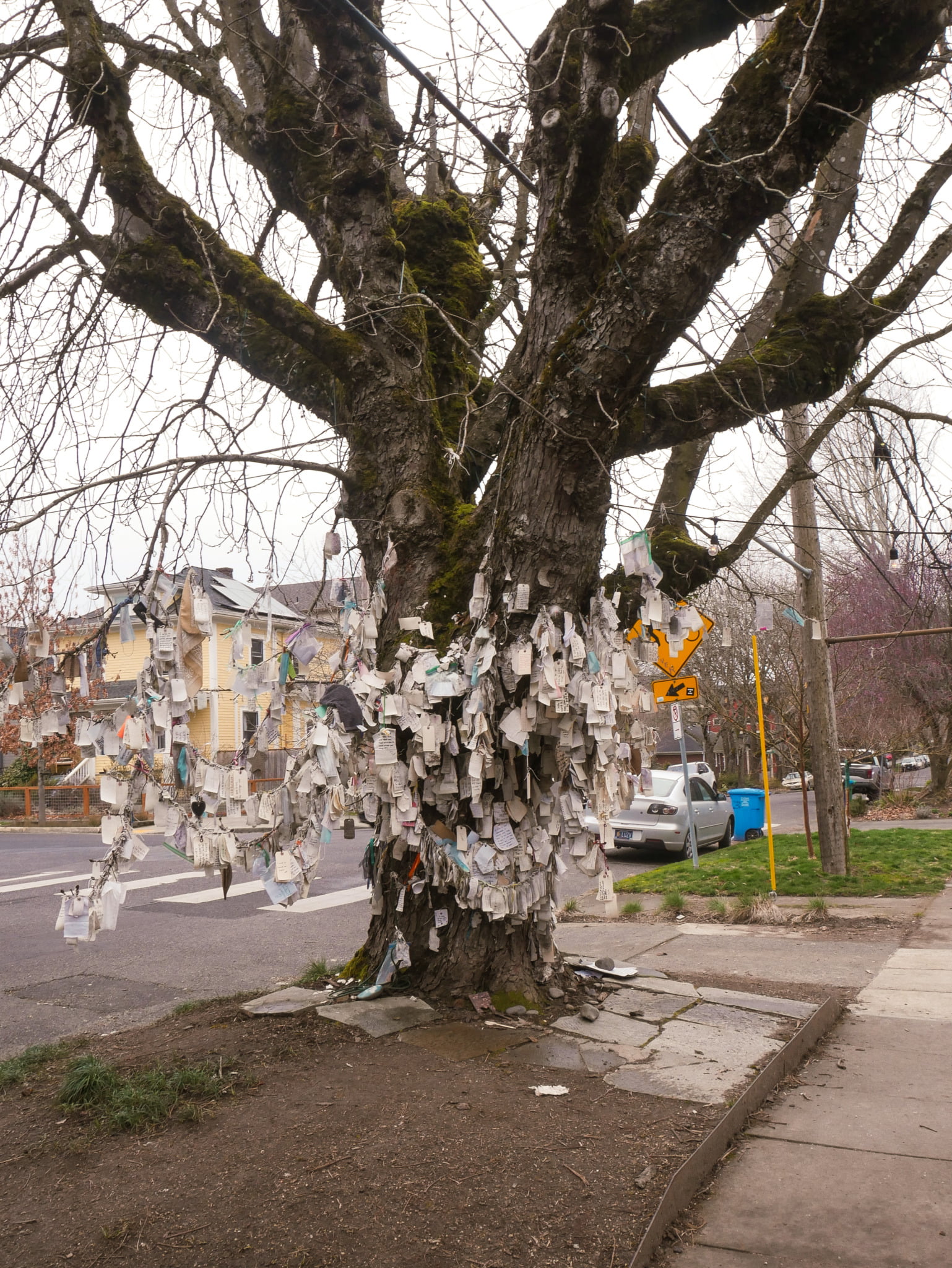 Things to do in Portland | Your 4-day Itinerary