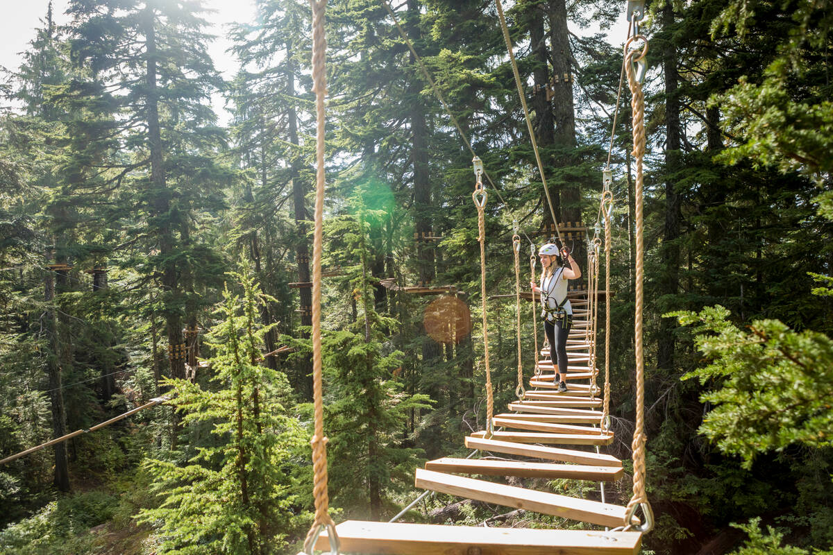 An Epic Guide to Visiting Grouse Mountain in the Summer (+7 Helpful Tips)