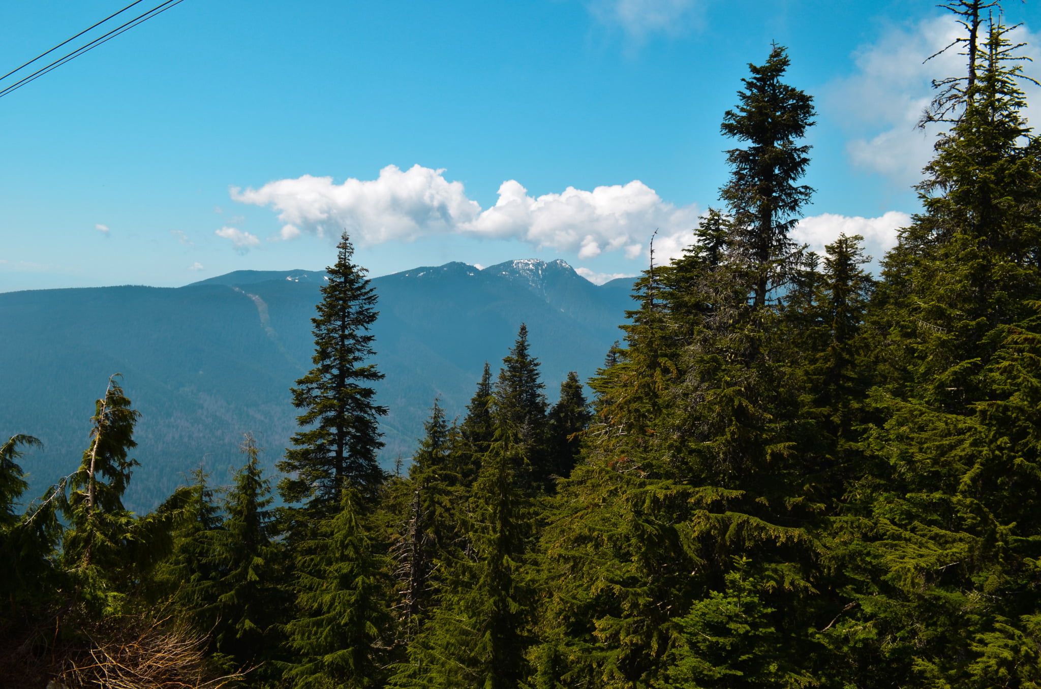 An Epic Guide to Visiting Grouse Mountain in the Summer (+7 Helpful Tips)