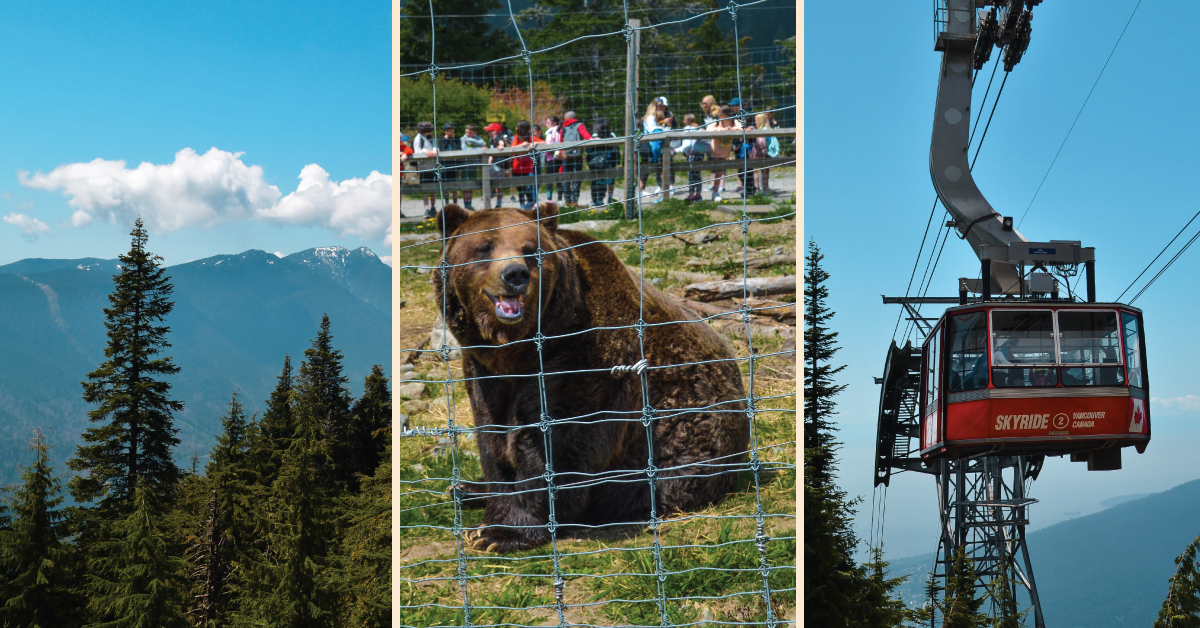 An Epic Guide to Visiting Grouse Mountain in the Summer (+7 Helpful Tips)