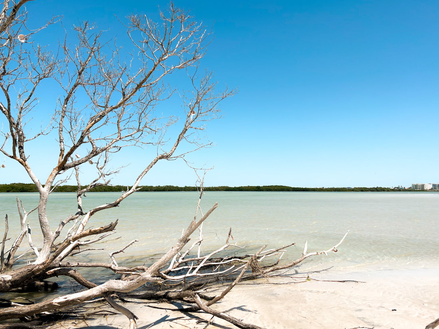 25 Affordable Beach Honeymoon Destinations Around the World