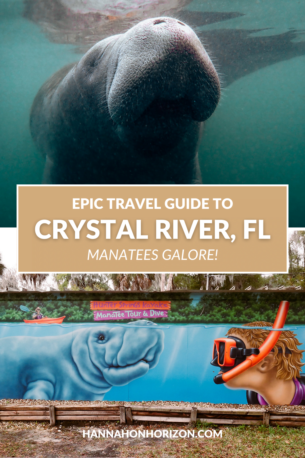 14 Best Things to Do in Crystal River, FL (And Yes, That Includes ...