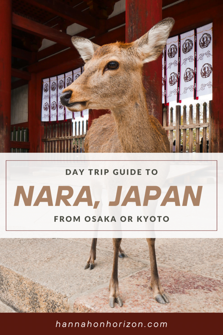 Perfect Day Trip to Nara from Osaka or Kyoto - Hannah on Horizon
