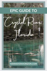 14 Best Things to Do in Crystal River, FL (And Yes, That Includes ...