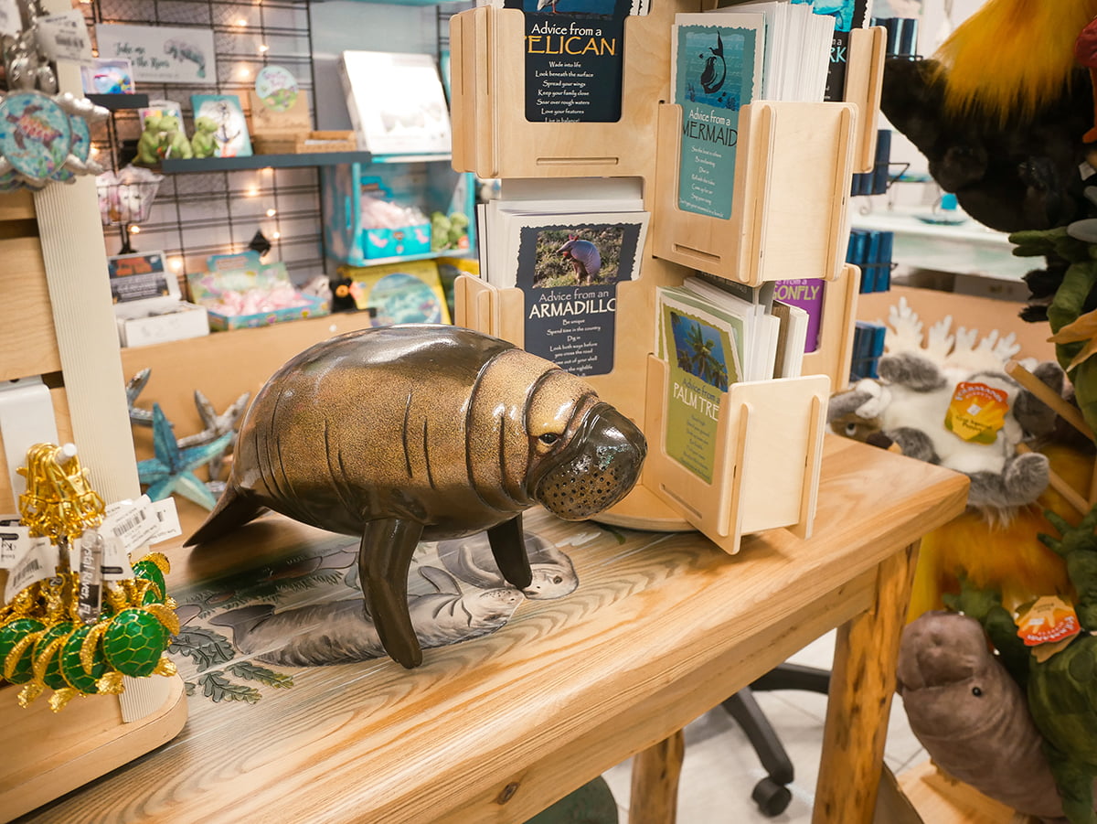 14 Best Things to Do in Crystal River, FL (And Yes, That Includes ...