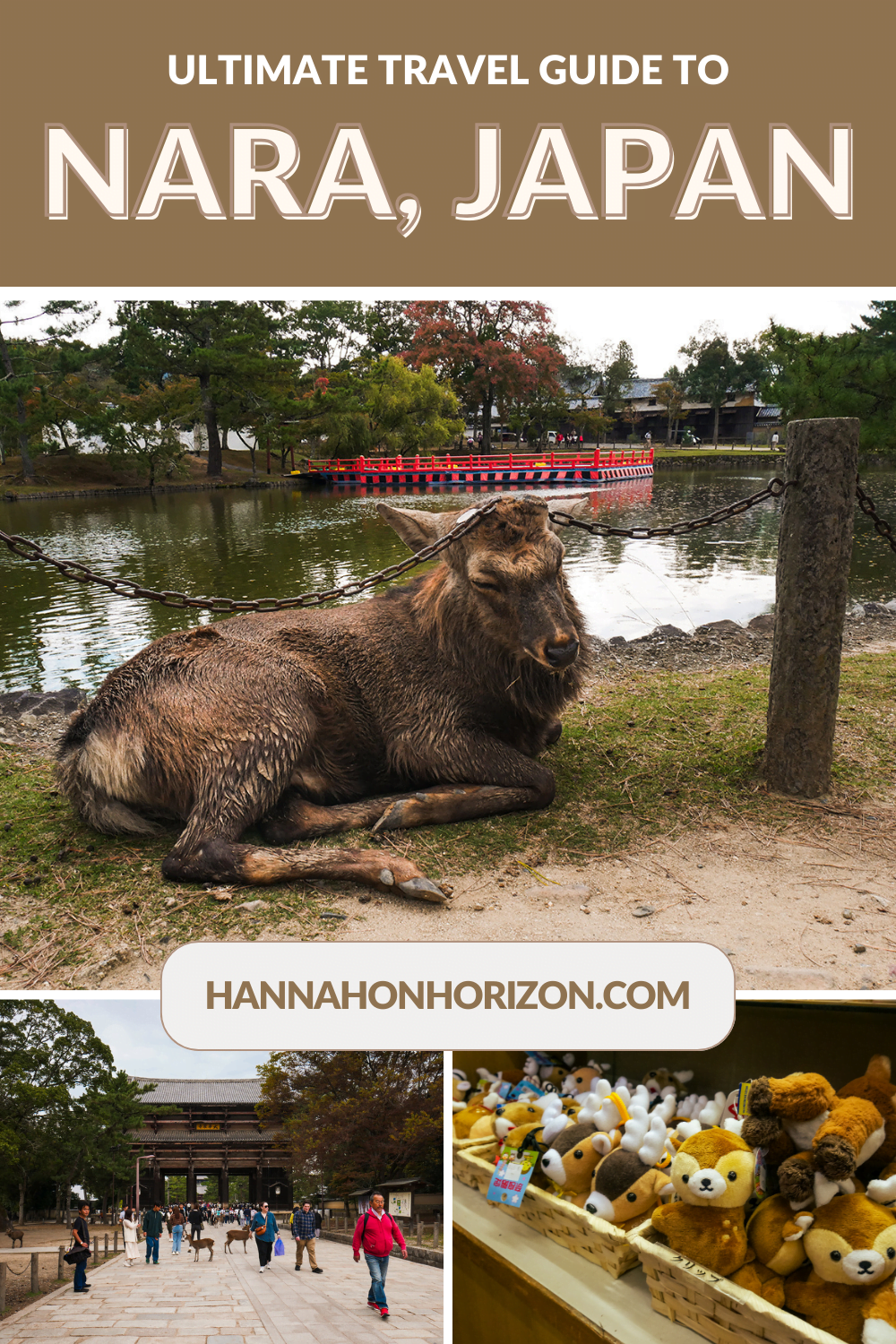 Perfect Day Trip to Nara from Osaka or Kyoto