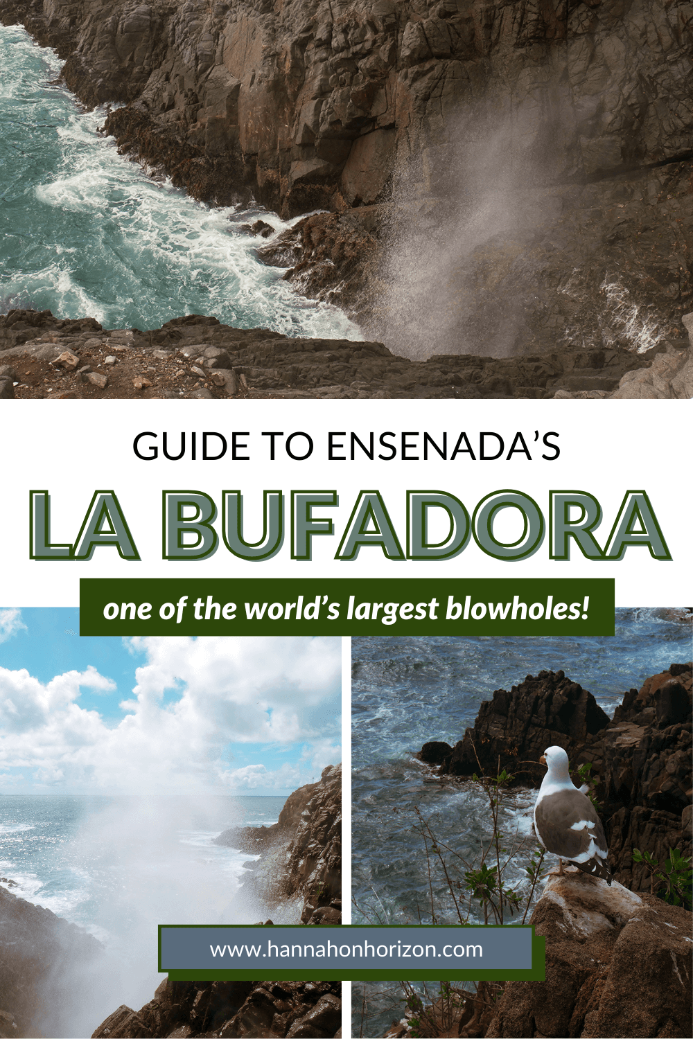 Guide to Visiting La Bufadora near Ensenada (2024)