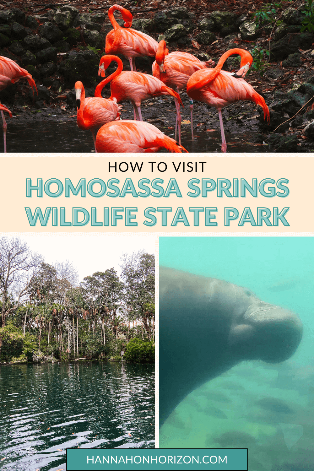 Guide to Florida's Homosassa Springs Wildlife State Park (Including ...